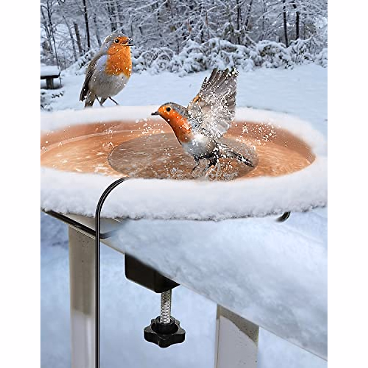 Bird Bath De Icer: for Outdoors in Winter, 6 Ft Cord, 60W Thermostatic Control Overheat Automatic Pause, Deicer for Bird Bath, Squirrel,Hummingbird Etc