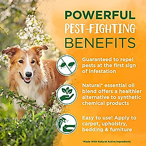 TropiClean Natural Flea and Tick Spray for Home | Maximum Strength Flea Spray for Carpet and Furniture | Family-Friendly & Safe | Made in the USA | 32oz