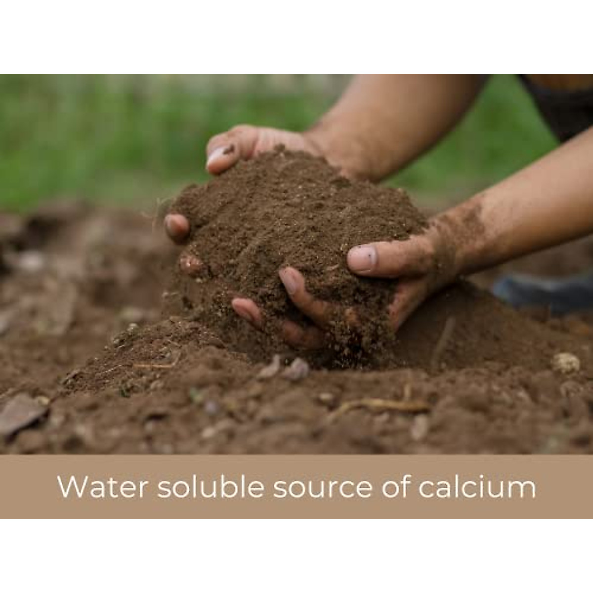 Southside Plants 1 lb Gypsum - Natural Mineral Calcium Sulfate Dihydrate Powder - Garden Soil Amendment Fertilizer for Lawns & Plants - Calcium Sulfate Soil Conditioner - 100% Water Soluble 16 oz