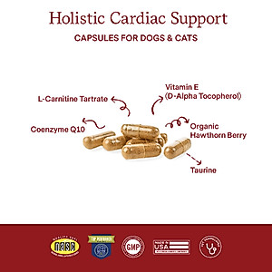 Fera Pets Cardiac Supplement for Dogs & Cats – 60 Capsules​ – Vet Created -Cardiovascular Function & Strength-Taurine, CoQ10, Organic Hawthorne Berry