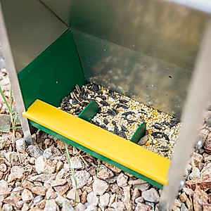 Rural365 Automatic Chicken Feeder System - 5.5 lb. Capacity Galvanized Feeder Metal Trough for Poultry and Rabbits