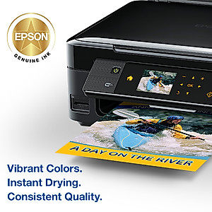 EPSON T200 DURABrite Ultra Ink Standard Capacity Black & Color Cartridge Combo Pack (T200120-BCS) for select Epson Expression and WorkForce Printers