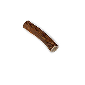 Little Loyals 100% Natural Grade A Premium Whole Deer Antler Chew for Dogs | Long-Lasting Dental Health Treat | Ideal for Aggressive Chewers Dog Breeds Small