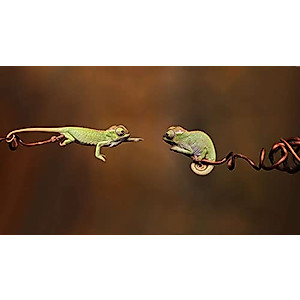 YauldSun 100W UVB UVA Reptile Basking Heat Light Bulbs Self-Ballasted UV Sun Lamp for Bearded Dragon Lizard Tortoise Turtle Amphibian 1 Pack