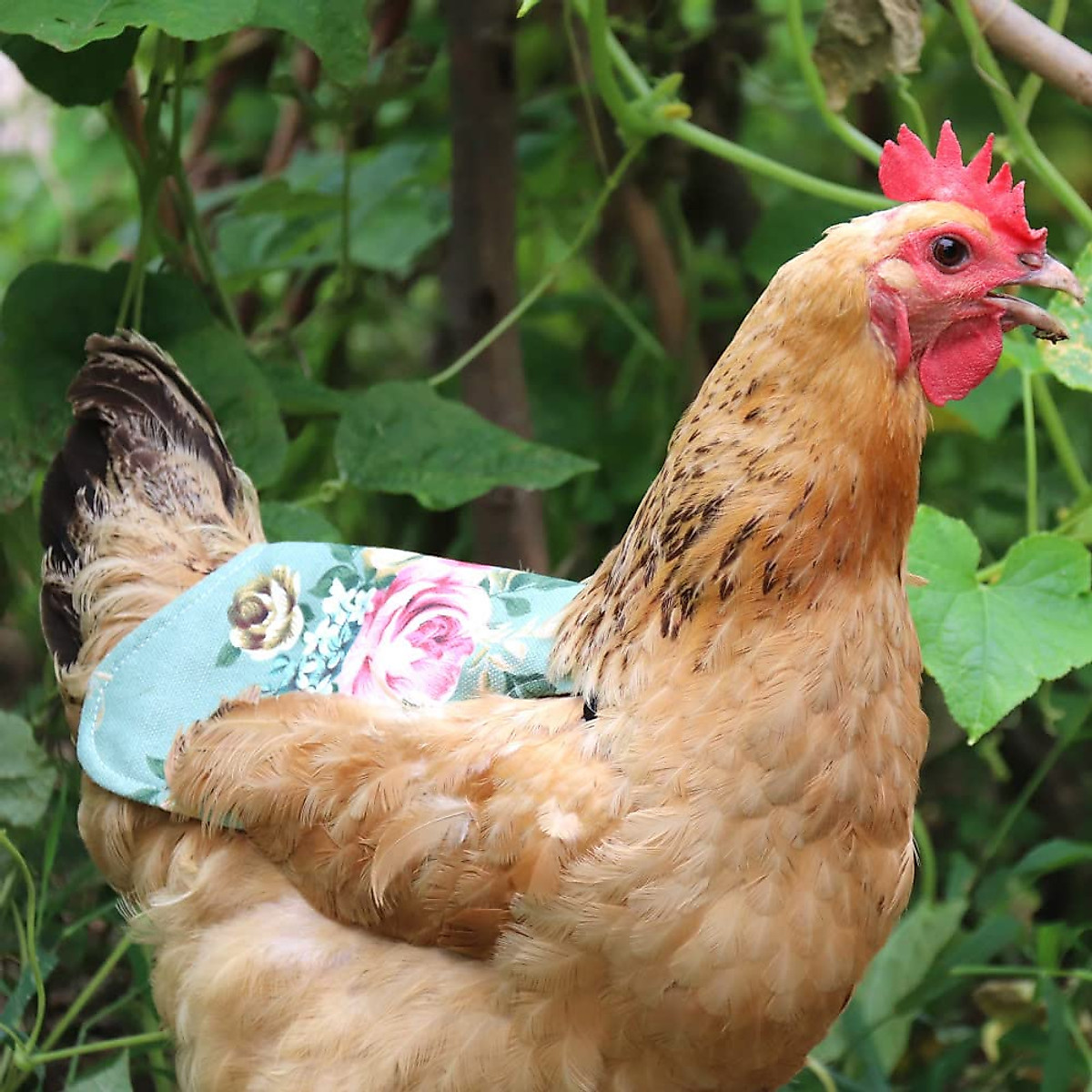 TOBILE Chicken Saddle, 5-Piece Hen Apron Set with Elastic Straps, Multicolor, Protects Feathers & Body, Ideal for Hen Owners & Chicken Farmers