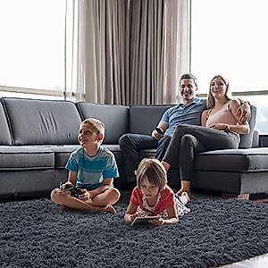 HOMBYS Fluffy Large Area Rug for Living Room 8x10 Feet, 2.4" Plush Indoor Carpets for Bedroom Childern Nursery Teens Room, Super Soft Shaggy Furry Rugs Machine Washable Home Decor