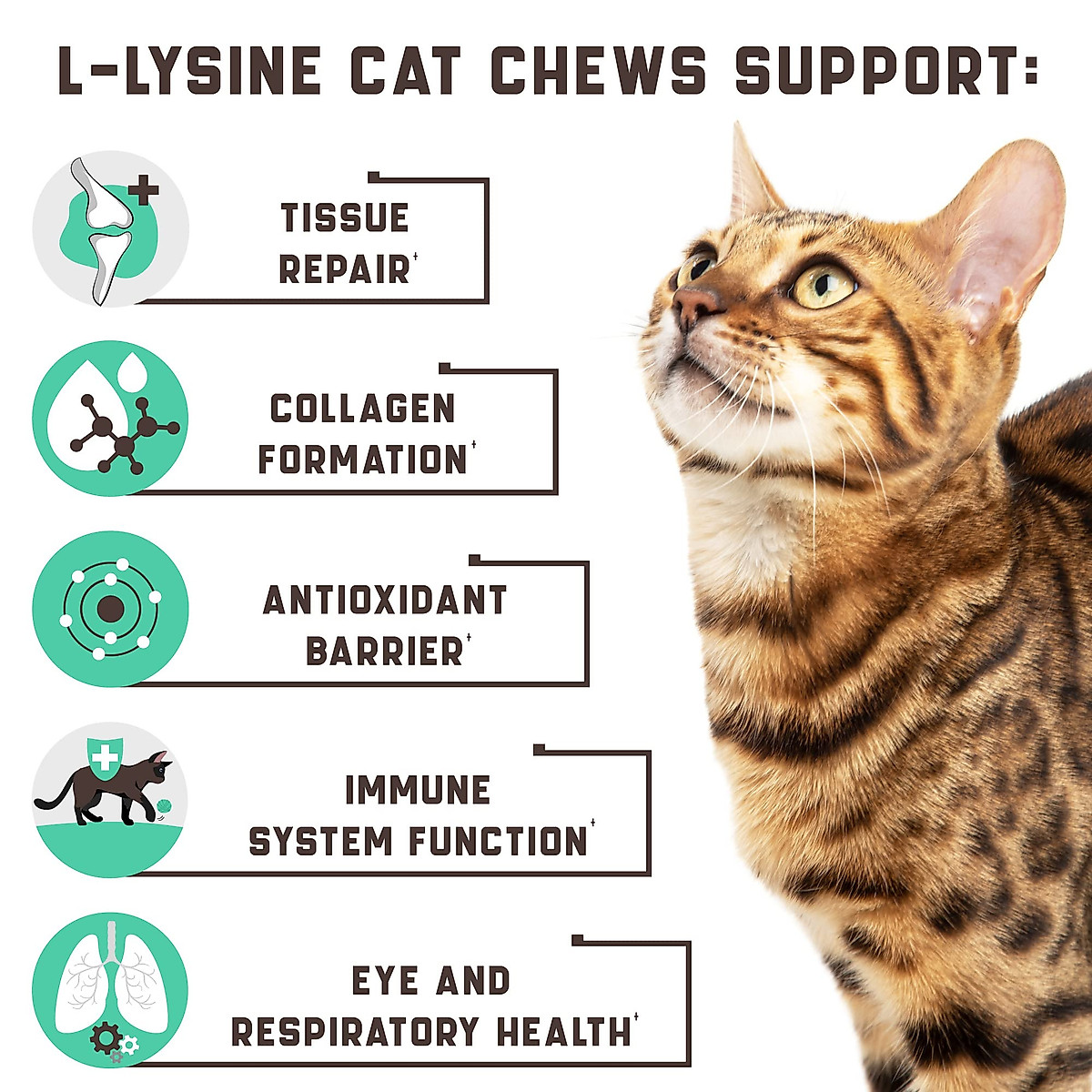 Lysine Cat Treats - Cat Immune Support - Help Improve Respiratory Health and Eye Function - Enriched with Vitamin B, Calcium, Protein