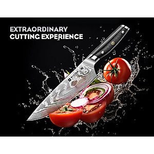WIZEKA Damascus Knife Set 3 PCS,Super Sharp Kitchen Knife Set Made of Japanese Steel VG10,Full Tang Professional Chef Knife Set With G10 Ergonomic Handle