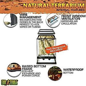 Exo Terra Glass Terrarium Kit, for Reptiles and Amphibians, Mini Tall, 12 x 12 x 18 inches, PT2602A1