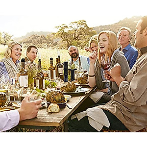 Hisip Electric Wine Opener Set, Corkscrew Wine Bottle Opener with Wine Aerator Pourer Foil Cutter, Vacuum Wine Stoppers for Wine Lover Christmas Gift Set