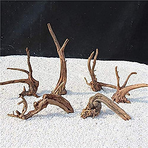Tfwadmx Aquarium Driftwood Natural Wood Reptile Branch Fish Tank Tree Plant Stump Ornament Decor 4 PCS