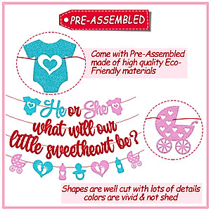 He or She What Will Our Little Sweetheart Be Banner Happy Valentine's Day Gender Reveal Boy or Girl He or She Heart Love Romantic celebration Decorations Baby Shower Party Supplies