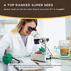 My Power Seeds Organic Raw Bitter Apricot Seeds I Non-GMO, Vegan, Gluten Free, Raw, and Source of Vitamins & Minerals I Rich in Vitamin E, Omega 3, and More! I (Apricot Seeds, 1LB Bag)