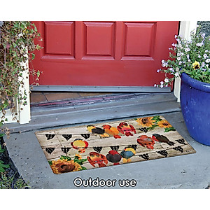 Toland Home Garden 800486 Farmhouse Birds Fall Door Mat 18x30 Inch Summer Outdoor Doormat for Entryway Indoor Entrance