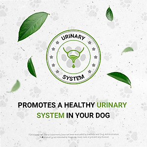 Wolf's Urinary | Natural Herbal Dietary Supplement for Dogs | Healthy Urinary System Support in Dogs | Alcohol-Free Extract, Uva Ursi, Marshmallow, Echinacea, Cranberry, Couch Grass 2 oz