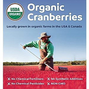 Organic Cranberry Pills - 50:1 Concentrate Equals 25,000mg of Fresh Cranberries (Vegan) for Urinary Tract Health & Kidney Cleanse - Cranberry Pills for Women - UTI Support Supplement - 60 Capsules