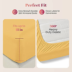 Ashton Sheets 100% Egyptian Cotton Sheets Queen Size - 1000 Thread Count 4 PC Queen Sheet Set Egyptian Cotton, Sateen Luxury Sheets Queen Size, High Thread Count Sheets, 16" Deep Pocket - Harvest Gold