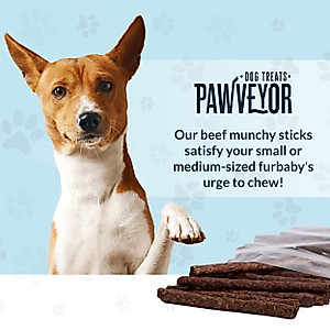 Pawveyor 5" Beefhide Munchy Sticks - 100 Beef-Flavored, All-Natural Granulated Rawhide Dog Chew Sticks for Small Dogs - Great Training Treats for Dogs or Puppy Treats for Small Puppies