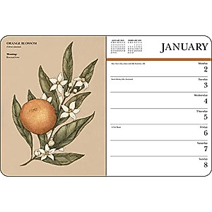 Floriography 12-Month 2023 Monthly/Weekly Planner Calendar: Secret Meaning of Flowers