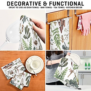 Kigai Kitchen Towels Set of 4, Retro Plants Highly Absorbent Dish Towels Reusable Cleaning Cloths Washable Tea Towels Hand Towel 28 x 18 Inch