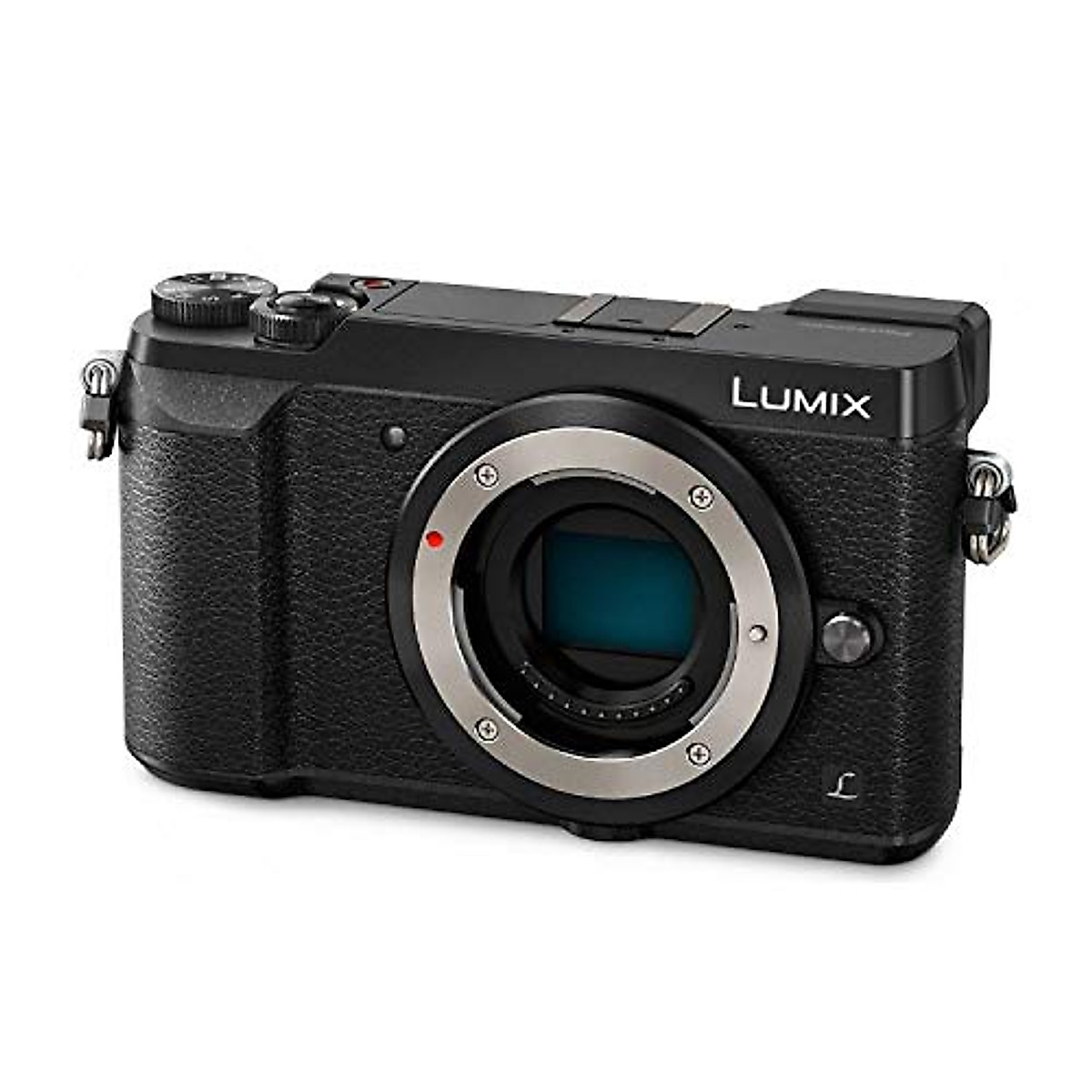 Panasonic DMC-GX85WK LUMIX 4K Mirrorless Camera with 12-32mm & 45-150mm Lenses and Holster Bag Bundle (Essentials Bundle)