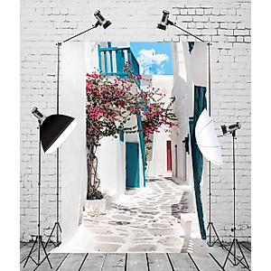 CORFOTO 6.5x10ft Greece Street Backdrop Narrow Street Background Mia Birthday Party Decorations Mia Themed Backdrop Greece Themed Party Decorations Greek Party Supplies Stone Path Wedding Banner Decor