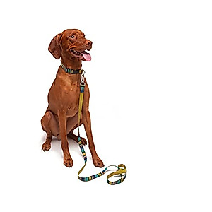 Seawoof Large Dog Collar - Recycled Plastic Comfortable Webbing Breathable Dog Training Tool - Green Stripe - Large