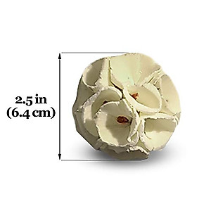 Meric Parrot Crepe Sola Ball, Shredding Joy for African Greys, Conures, and Macaws, Lowers Stress in Birds and People, Irresistible Cork Texture, End Excessive Plucking, 3 Balls per Pack