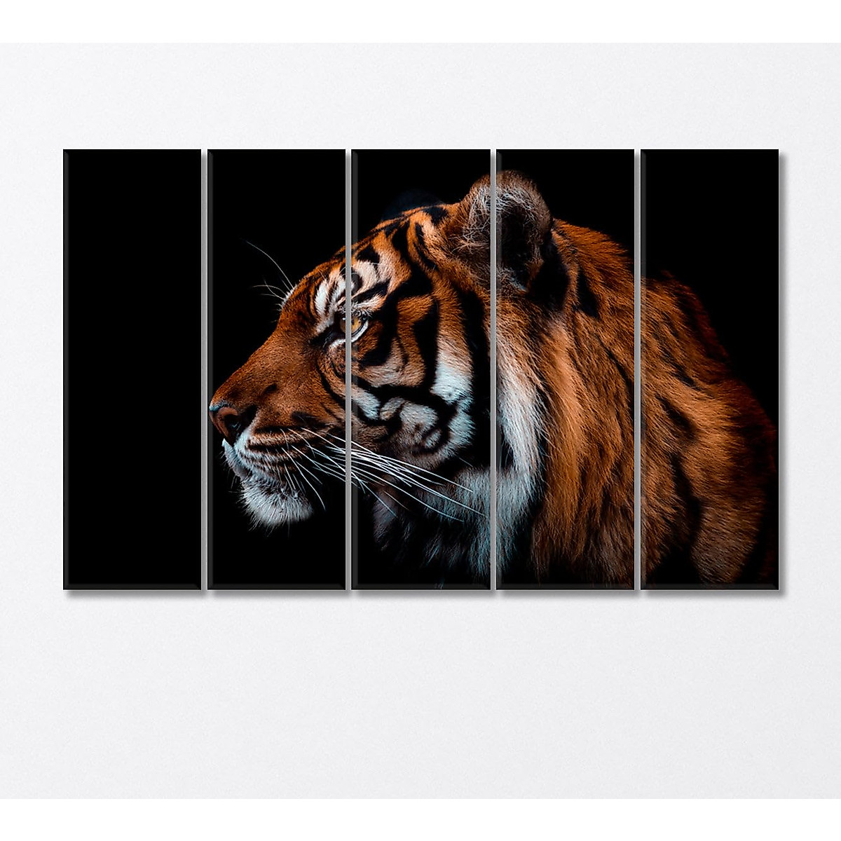 Sumatran Tiger Canvas Print 1 Panel / 36x24 inches