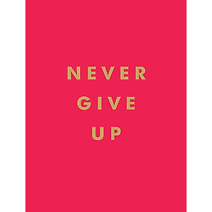 Never Give Up