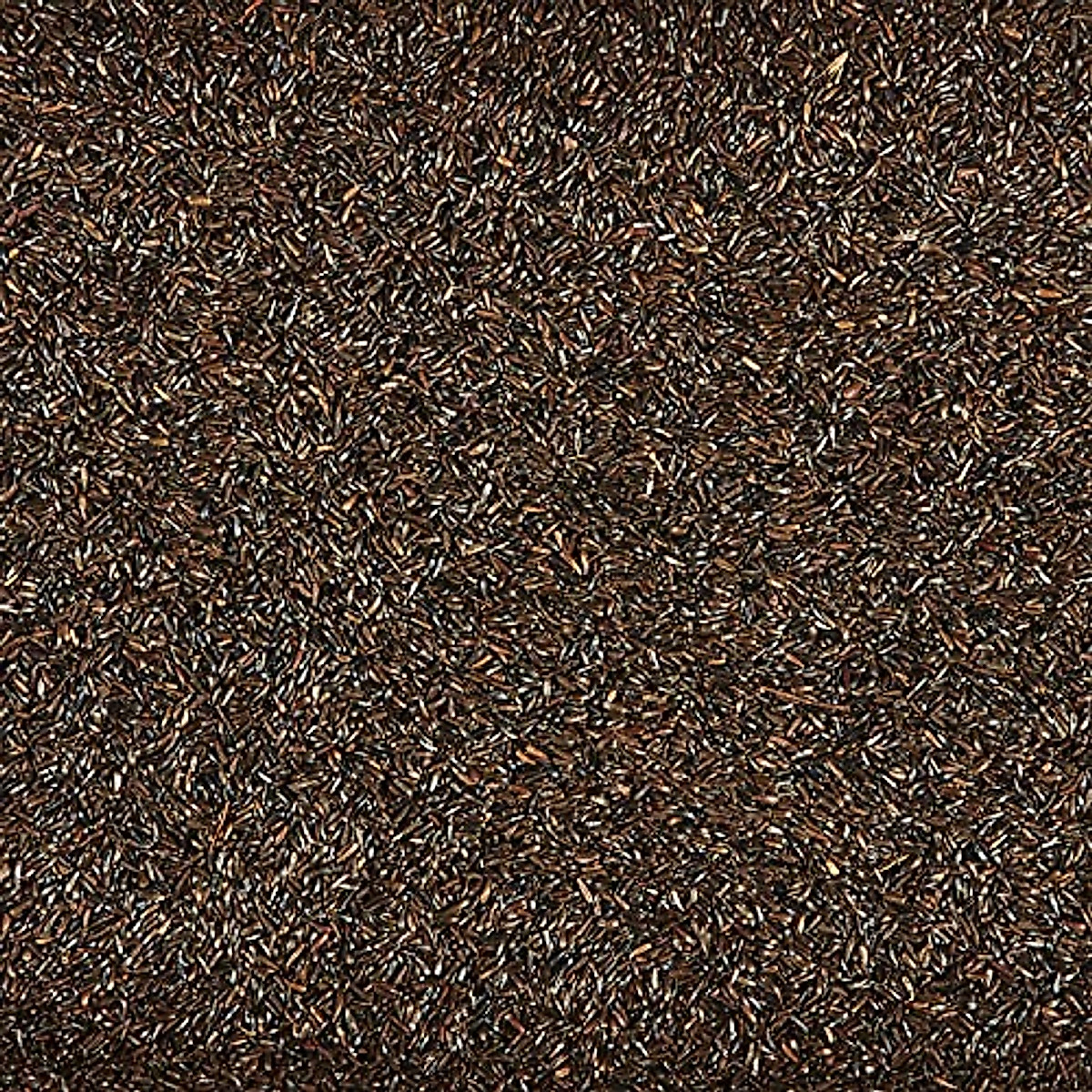 Kaytee Nyjer Wild Bird Food Seed, 3 Pound