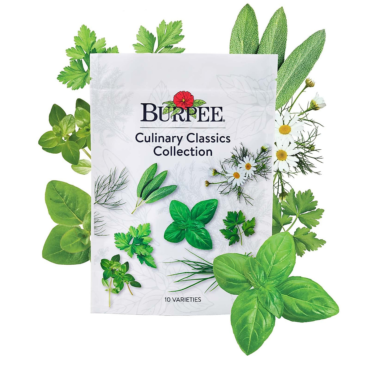 Burpee Culinary Classics Garden Collection 10 Packets of Non-GMO Chives, Cilantro, Basil, Sage, Thyme, Dill, Parsley, Chamomile, Marjoram & Oregano | Kitchen Herb Variety Pack, Seeds for Planting