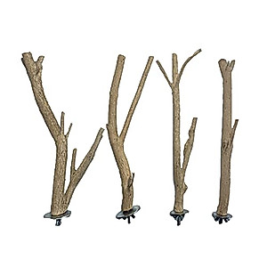 Birds LOVE Small Bottlebrush Wood Cage Perch