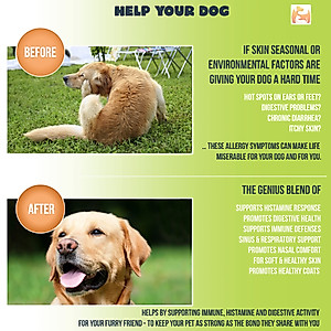 Best All Allergy Immune Supplements for Dogs- Made in USA- Omega 3 Wild Salmon Oil + Vitamins & Minerals- Seasonal Allergies Support- Itch & Hot Spots Relief- Digestive Probiotics | 170 Soft Chews