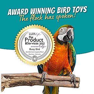 Busy Bird | Goodie Gadget Foraging Bird Toy - Spins on Axis with Peek-A-Boo Window - 100% Metal, Ultimate Brain Teaser and Mind Game for Medium to Extra Large Birds
