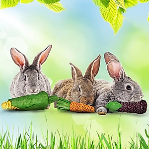 SunGrow Natural Veggie Chew Toys for Rabbits, 5.2 Inches, Woven with 100% Organic Material, Stimulate Your Bunny Rabbits, Bright, Entertaining and Safe for Chewing, 3 Pieces