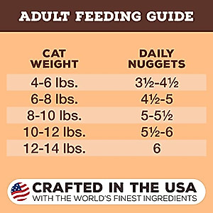 Primal Freeze Dried Cat Food Nuggets Pork, Complete & Balanced Scoop & Serve Healthy Grain Free Raw Cat Food, Crafted in The USA (14 oz)