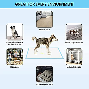LCZLBRRD Large 23.5x35 Inches Training Pads,30 Counts-Disposable Polymer Super Absorbent Puppy Pads,Leakproof Pee Pads for Dogs,Puppies,Cats,Rabbits.