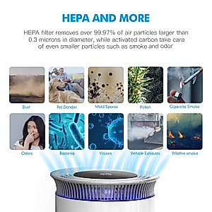 Air Purifiers for Home Large Room, for Bedroom
