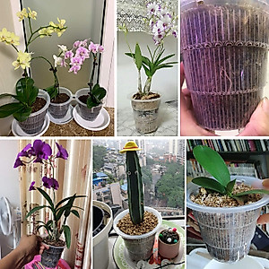 Meshpot 4 inch Clear Plastic Orchid Pots with Holes and Saucers for Repotting,Pack of 4,Small Orchid Planters Own Scientific Controlling Roots Technology to Develop More Strong Roots