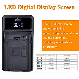 Pickle Power PSP 3001 Battery and LED Display Charger for Sony PSP 2000/3000 PSP-S110 Console, PSP-3001 PSP-3002 PSP-3000 PSP-3004 PSP-2001 PSP-2002 PSP-2003,PSP Lite, PSP Slim