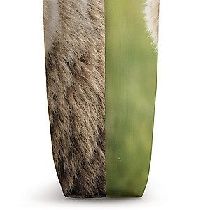 Grizzly Bear Tote Bag