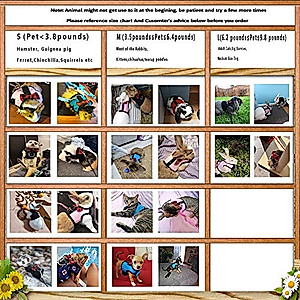 sonicbee Multipurpose Rabbits Hamster Vest Harness with Leash Bunny Mesh Chest Strap Harnesses Ferret Guinea Pig Small Animals Pet Accessories (L, Blue)