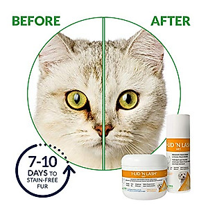 I-LID ’N LASH Vet Dog Eye Wipes - Best Tear Stain Remover for Dogs (60 Wipes) | Prevents Puppy Tear Stains with Hyaluronan | Cat Eye Wipes for Discharge - No Antibiotics or Harmful Chemicals