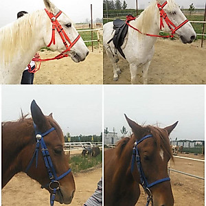 N/A Large Harness Stainless Steel Hollow Mouth Armature Horse Riding Bridle Racing Equestrian Equipment Rope (Color : Green)