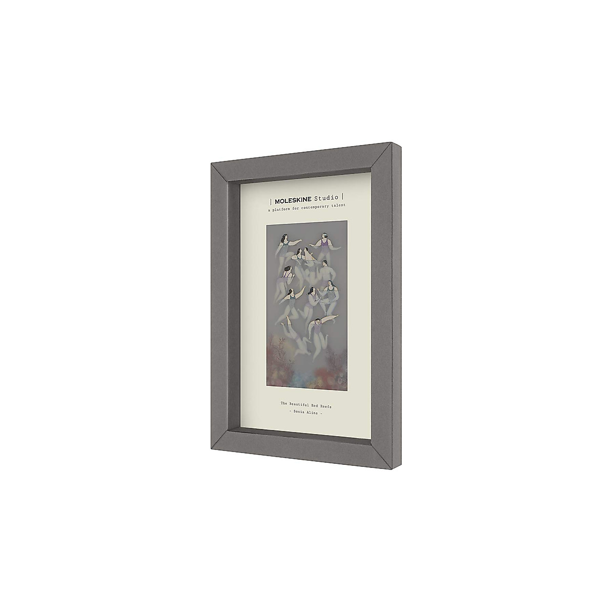 Moleskine Limited Edition Studio Collection Notebook, Hard Cover, Large (5" x 8.25"), Plain/Blank, Sonia Alins, 240 Pages