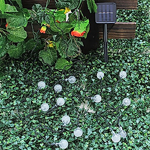 Vivii Solar String Light 20 ft 30 LED Crystal Ball Waterproof String Lights Solar Powered Fairy Lighting for Garden Home Landscape Holiday Decorations, White, 2 Pack