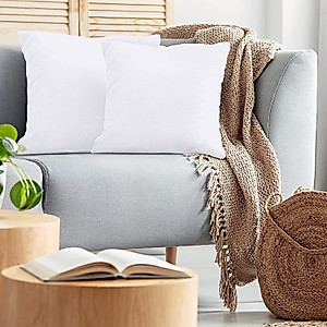 Utopia Bedding Throw Pillows Insert (Pack of 2, White), 18 x 18 Inches Couch Sofa Cushion, Decorative Pillow and Sham Stuffer for Bed