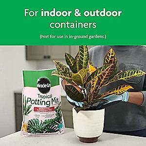 Miracle-Gro Tropical Potting Mix, 6 qt. - Growing Media for Tropical Plants Living in Indoor and Outdoor Containers