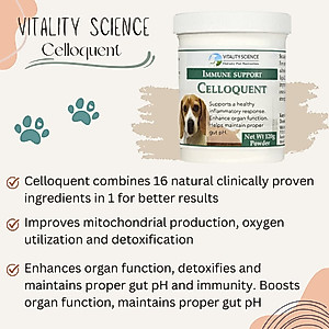 Vitality Science Celloquent for Dogs | Enhanced Immune Support | Maintains Proper Gut pH | Boosts Organ Function | Aids Detoxification & Healthy Inflammatory Response | 100% Safe and Natural (120g)